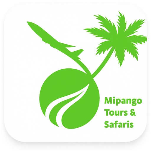 Zipline Masingini Tour Zanzibar | Adventure in Masingini Forest